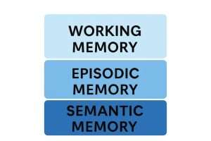 AI Agent memory management: the architecture of memory